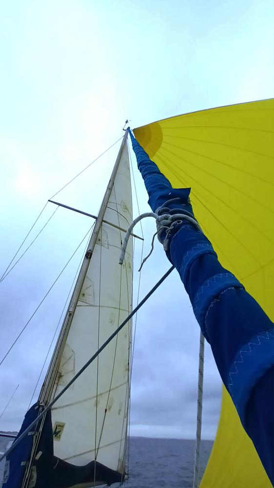 Used Asymmetrical spinnaker DEME VOILE