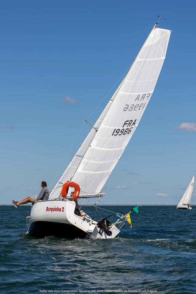 Used Mainsail MICROSAIL Q NARWAL