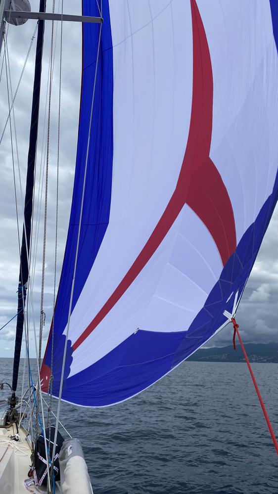 Spi asymétrique occasion SUN FIZZ ROLLY TASKER SAILS